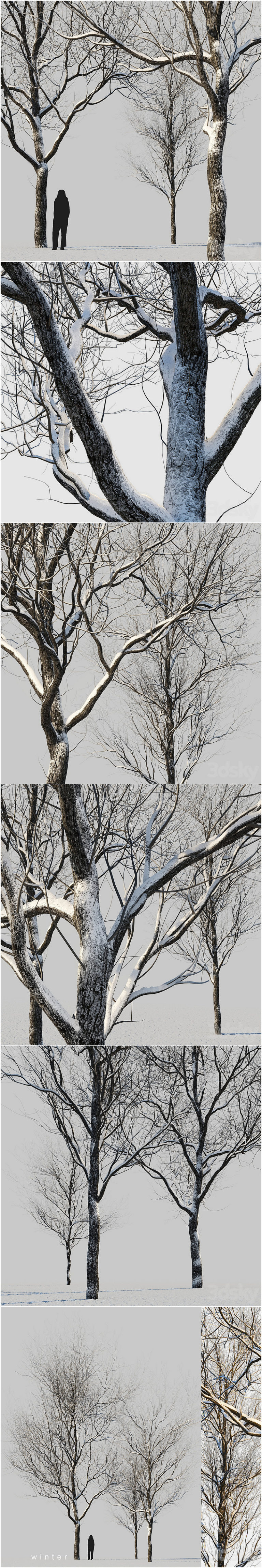 Desire FX 3d models | Snow-covered trees – 3D Model
