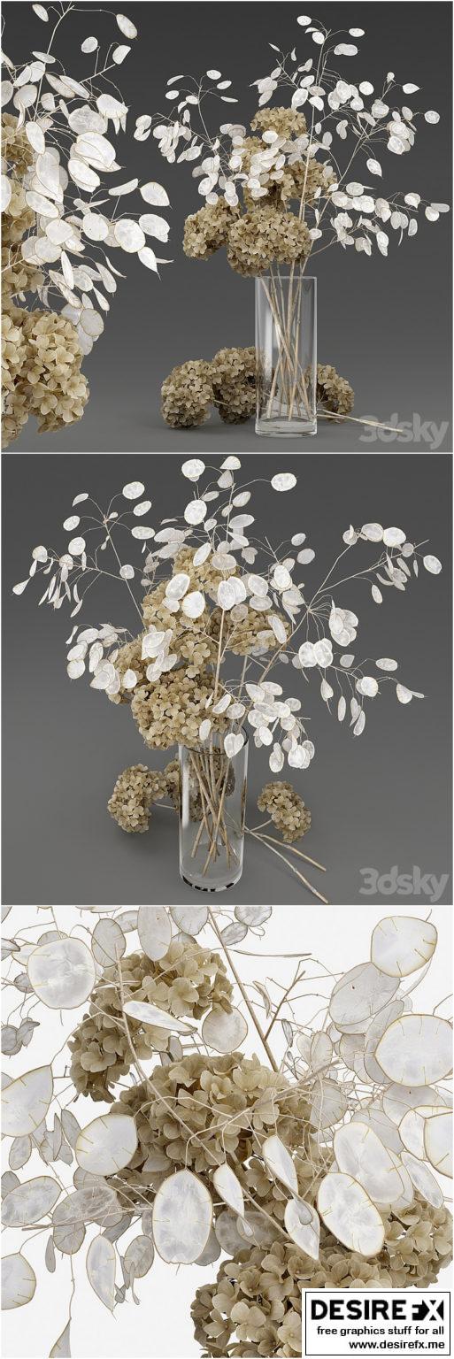 Desire FX 3d models | Dried flowers – 3D Model