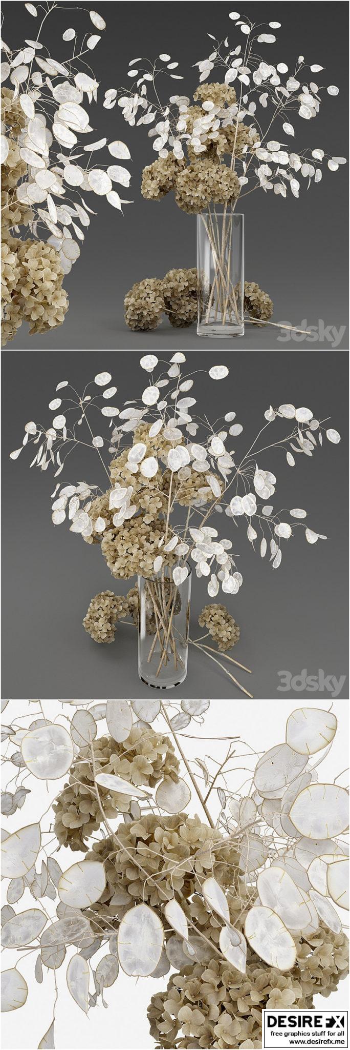 Desire FX 3d models | Dried flowers – 3D Model