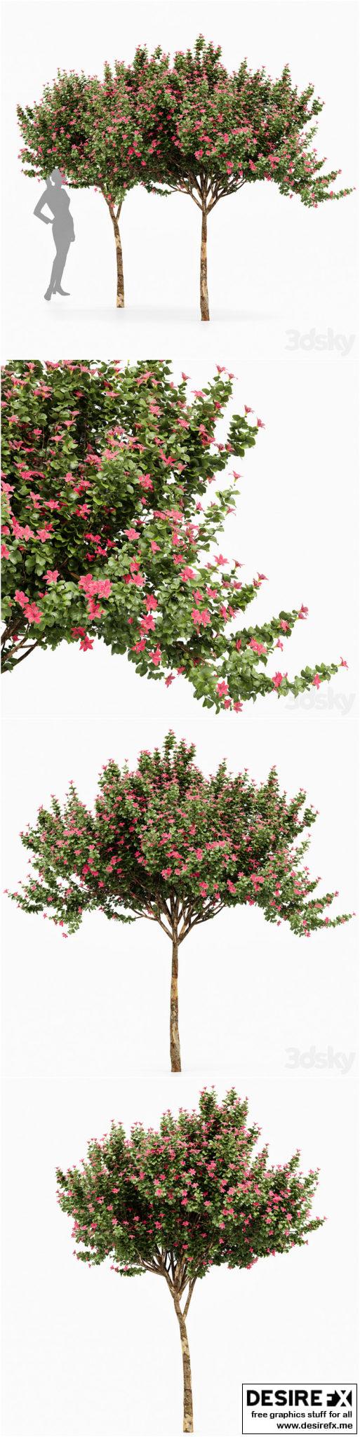 Desire FX 3d models | Orchid 2 Trees Fragrant Flower – 3D Model