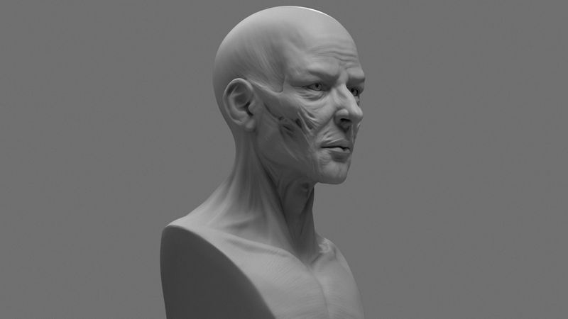 Desire FX 3d models | Stylized Anatomy Face 3D print model