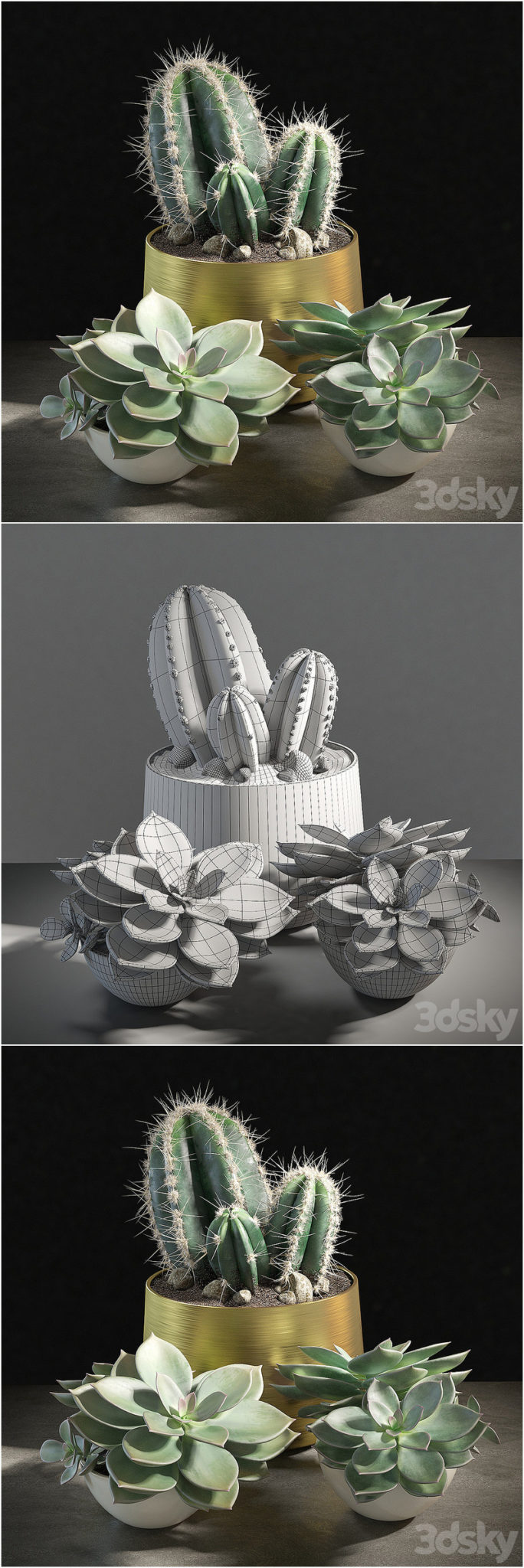 Desire FX 3d models | Set of plants 01 – 3D Model