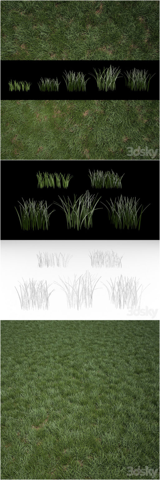 Desire FX 3d models | Grass for Exteriors – 3D Model