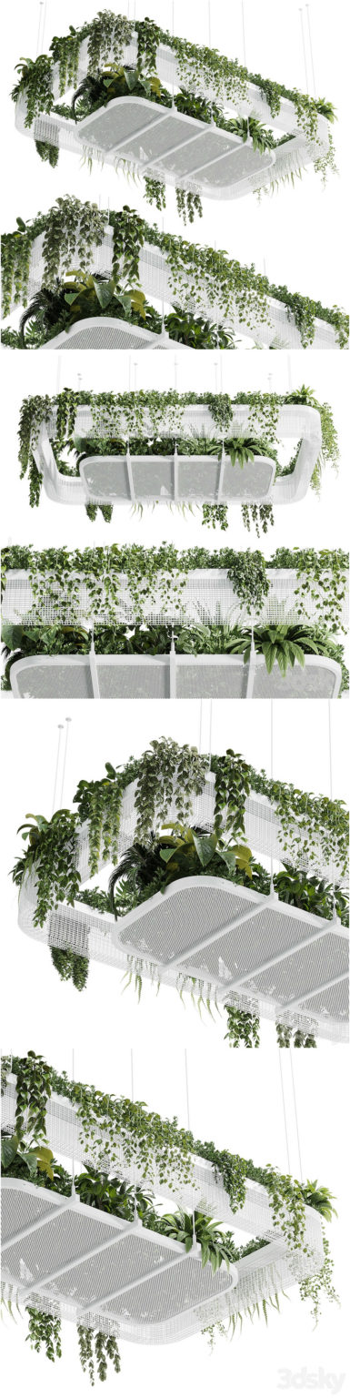 Desire FX 3d models | Hanging plants – indoor plant 323 corona – 3D Model