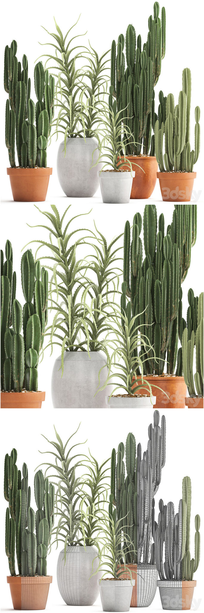 Desire FX 3d models | Plant collection 302. Cactus set. Cacti, cereus ...