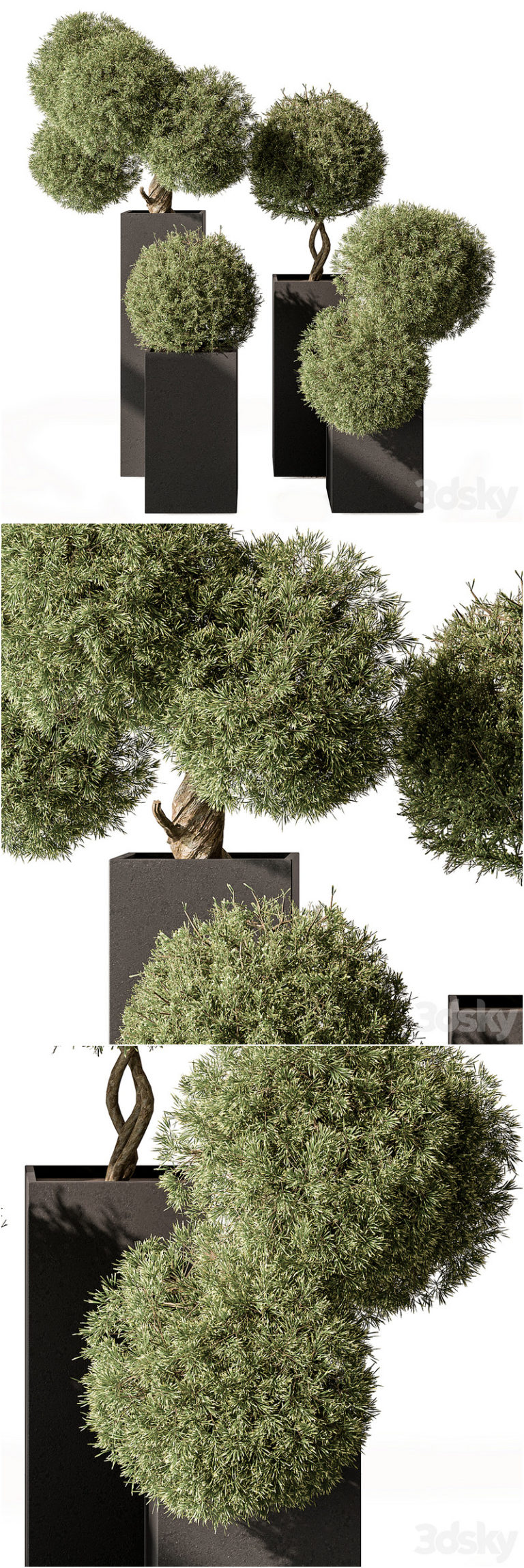 Desire FX 3d models | Topiary Plant in Box – Outdoor Plants 445 – 3D Model