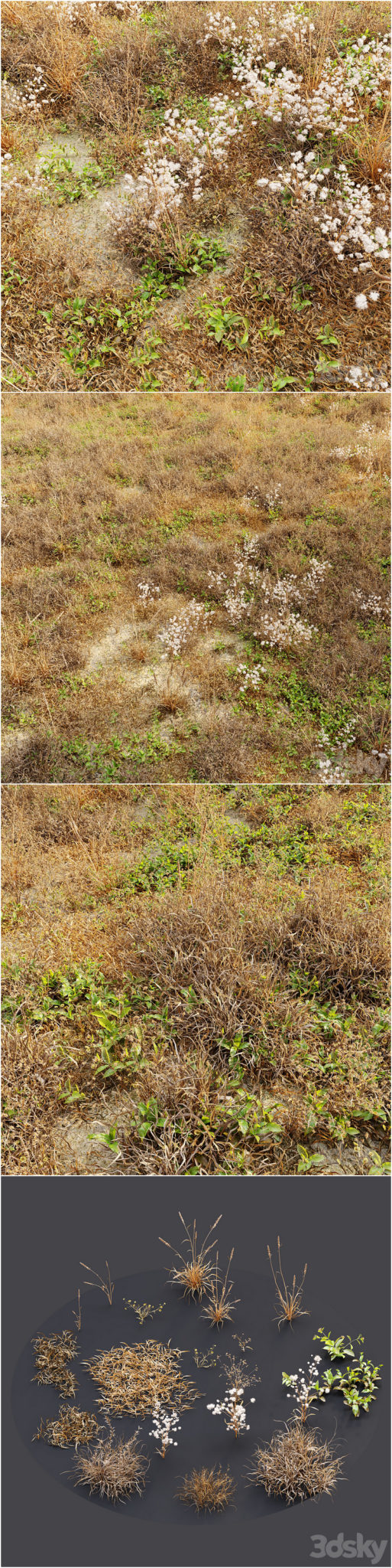 Desire FX 3d models | Dry meadow – 3D Model