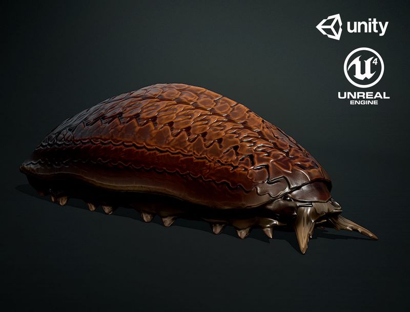 Desire FX 3d models | Larvae creature1 Low-poly 3D model