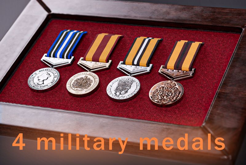 Desire FX 3d models | British military medal and badge Low-poly 3D model