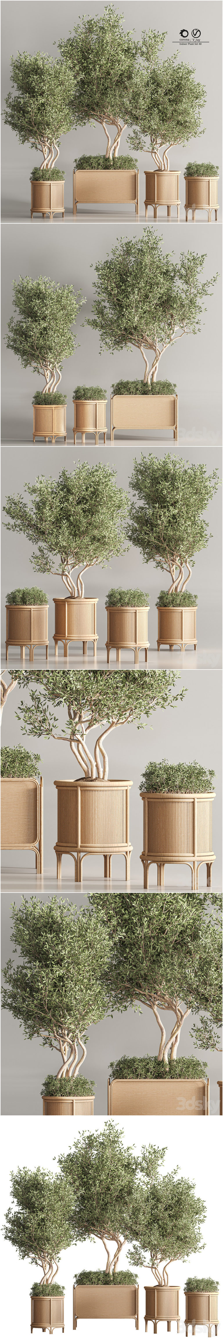 Desire FX 3d models | Indoor Plant Set 45 – 3D Model