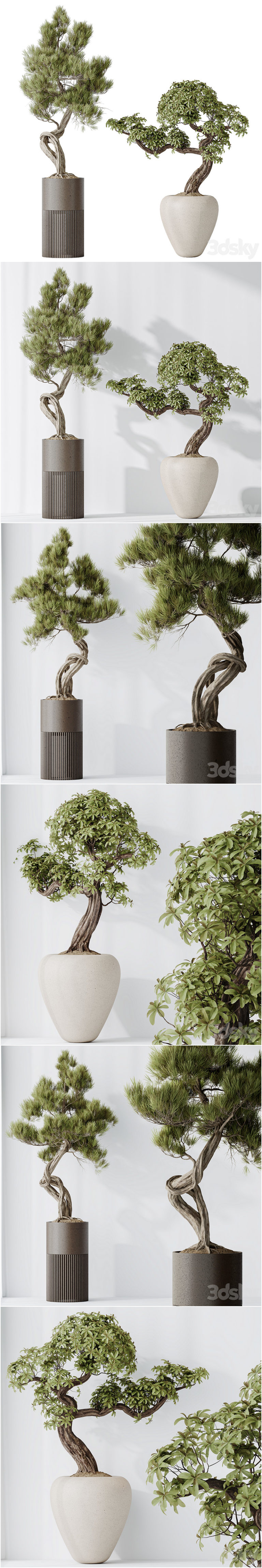 Desire FX 3d models | Indoor plant set 23 – 3D Model
