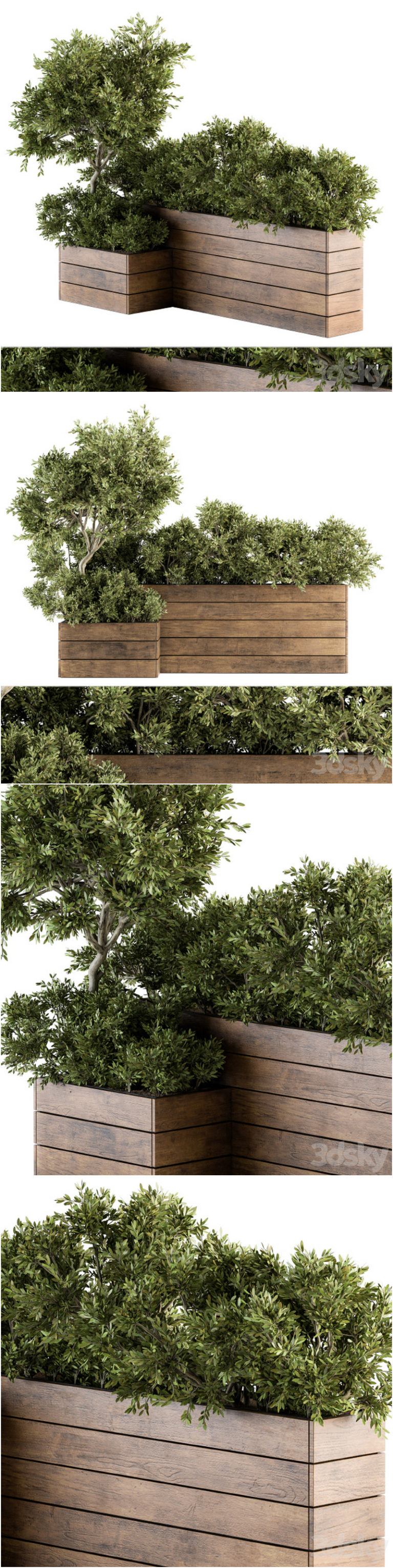 Desire FX 3d models | Outdoor Plants tree in Wood Box – Set 154 – 3D Model