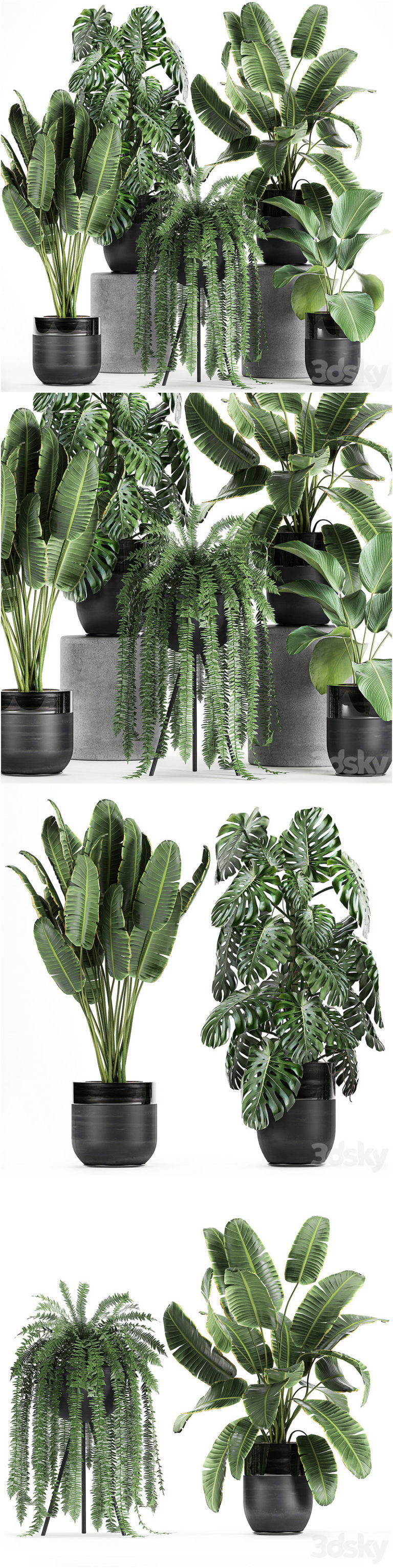 Desire FX 3d models | Plant collection 710 – 3D Model