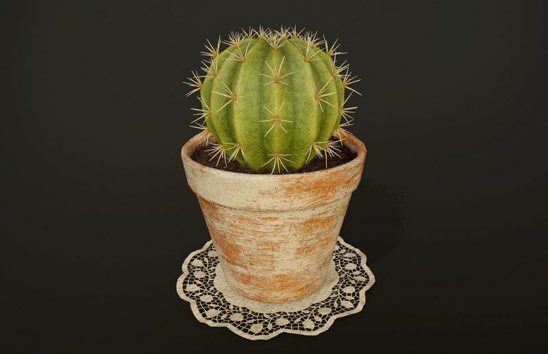 Desire FX 3d models | Cactus v2- PBR Game Ready in pot Low-poly 3D model