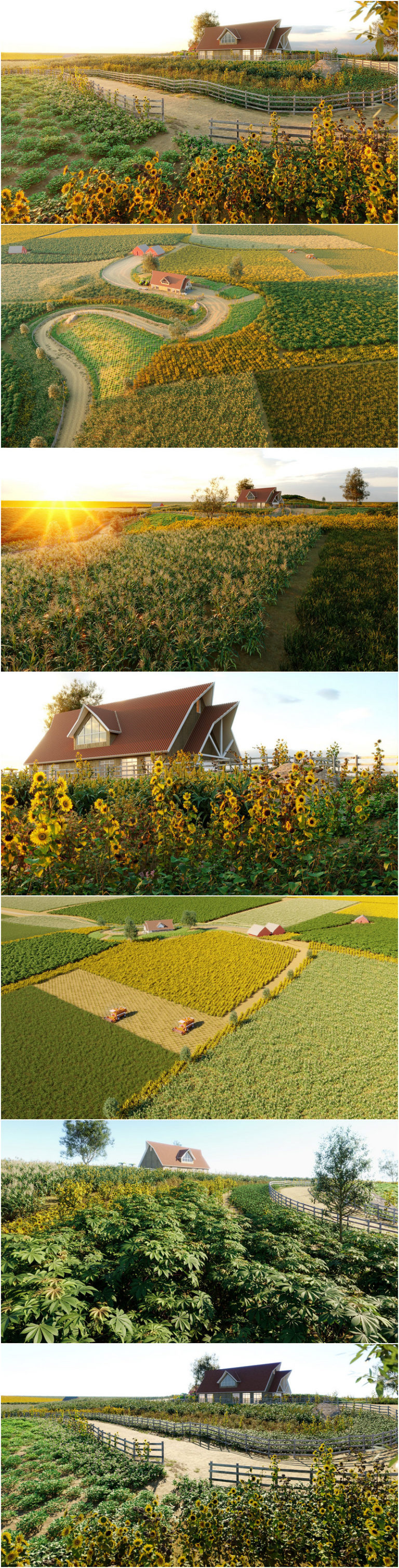 Desire FX 3d models | Bundle 54 – Agricultural Plants – 3D Model