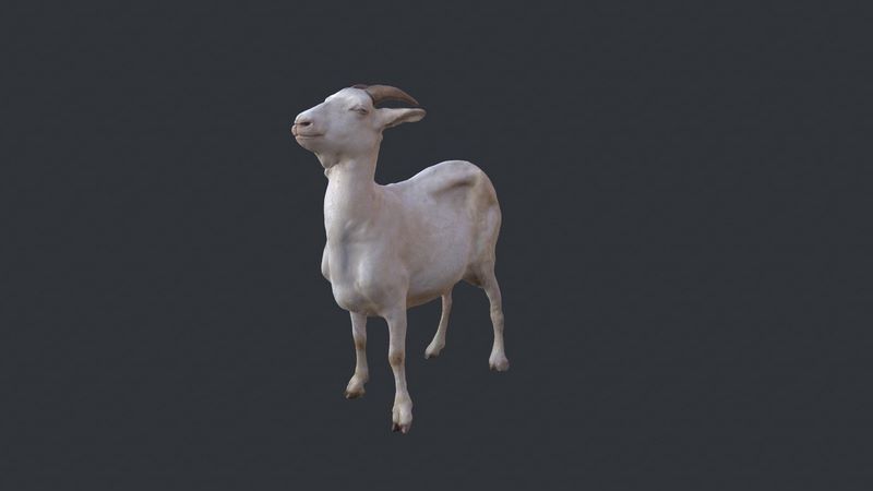 Desire FX 3d models | 3d Goat Model 3D model