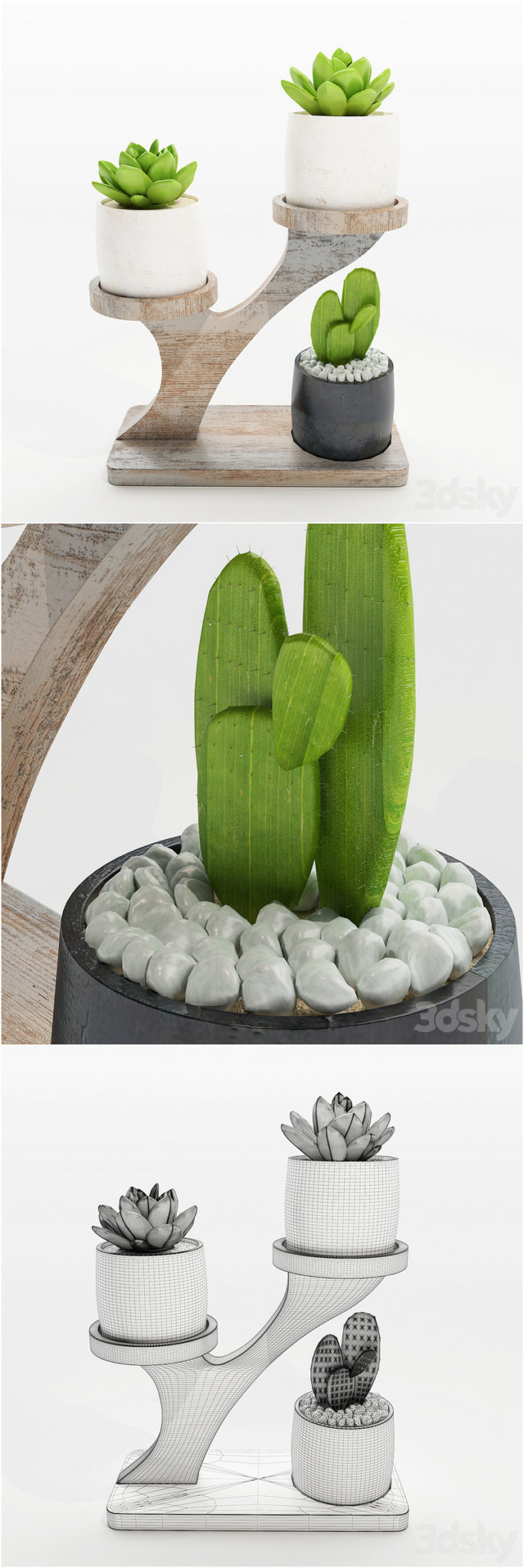 Desire FX 3d models | Cactus – 3D Model