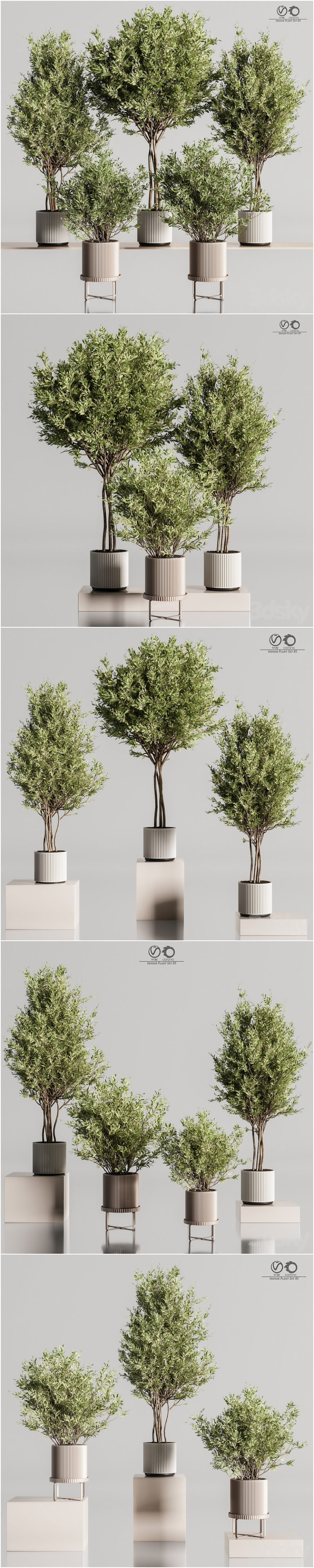 Desire FX 3d models | Indoor_Plant_Set_85 – 3D Model