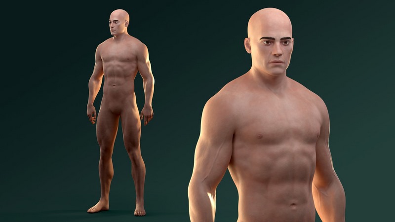 Desire FX 3d models | Realistic Male Base Mesh Low-poly 3D model