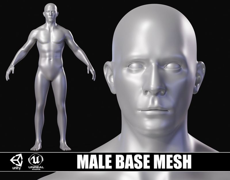 Desire FX 3d models | Realistic People Body Base Mesh Set 3D Model ...