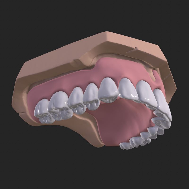 Desire FX 3d models | Dental Anatomy Mouth Model Real Scanned Medical ...