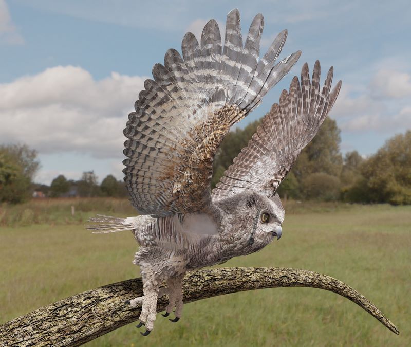 Desire FX 3d models | Great Horned Owl – Blender Low-poly 3D model