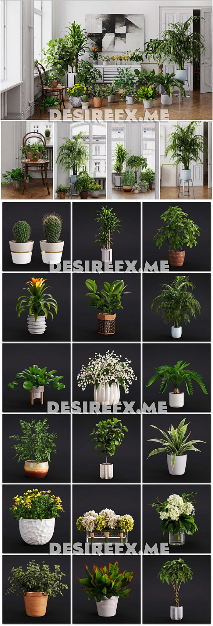 Desire FX 3d models | Indoor pot plants – Evermotion – Archmodels vol ...