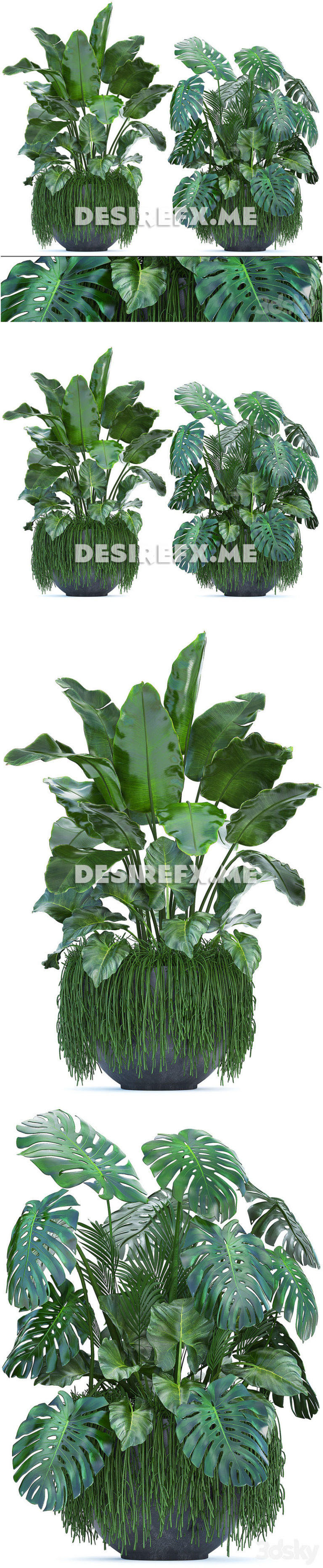 Desire FX 3d models | Plant collection 253 – 3D Model