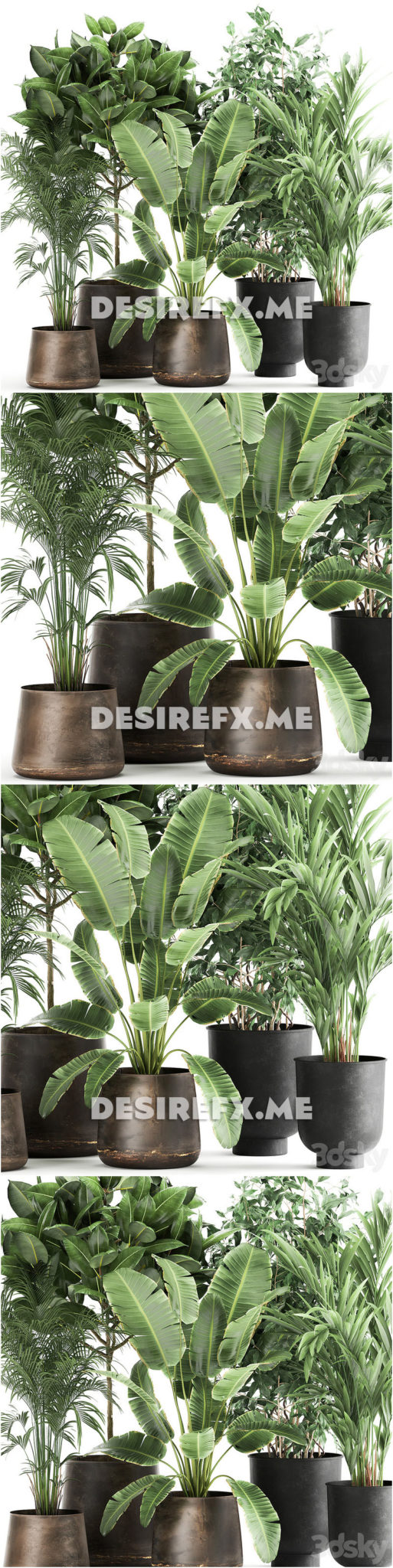 Desire FX 3d models | Plant collection 978 – 3D Model