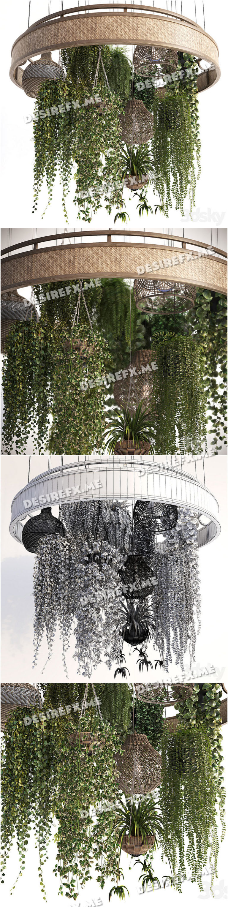 Desire FX 3d models | Plants with Wicker Pendants – 3D Model