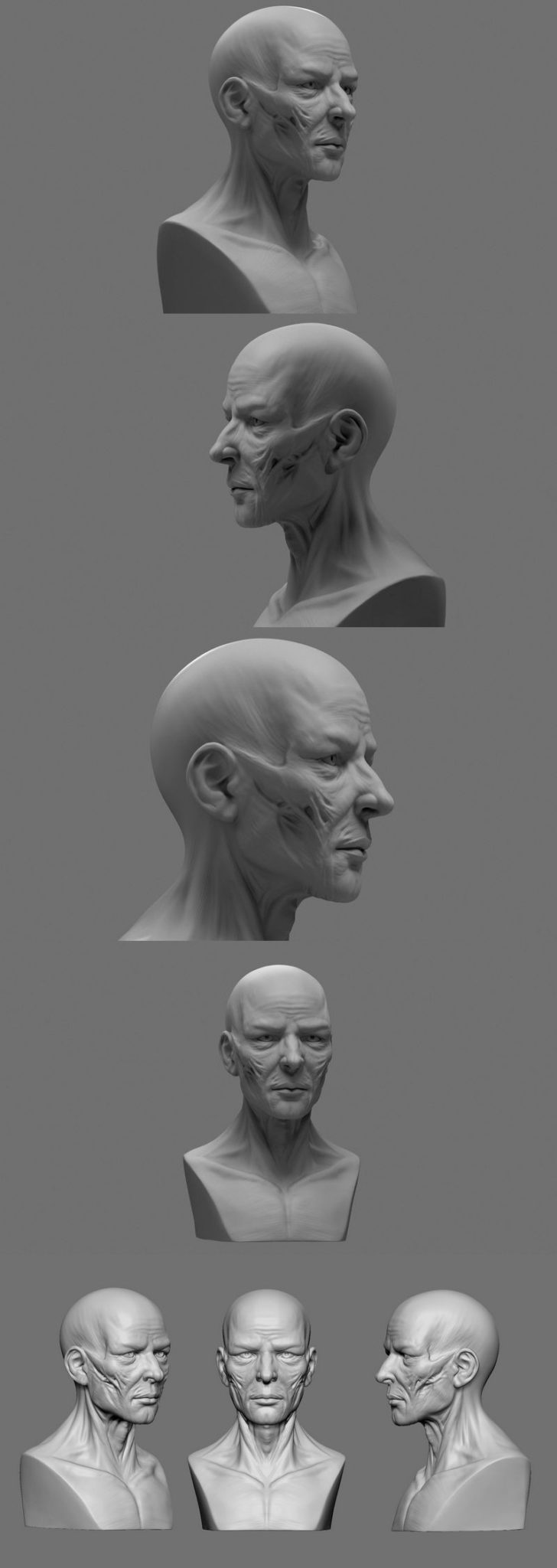 Desire FX 3d models | anatomy