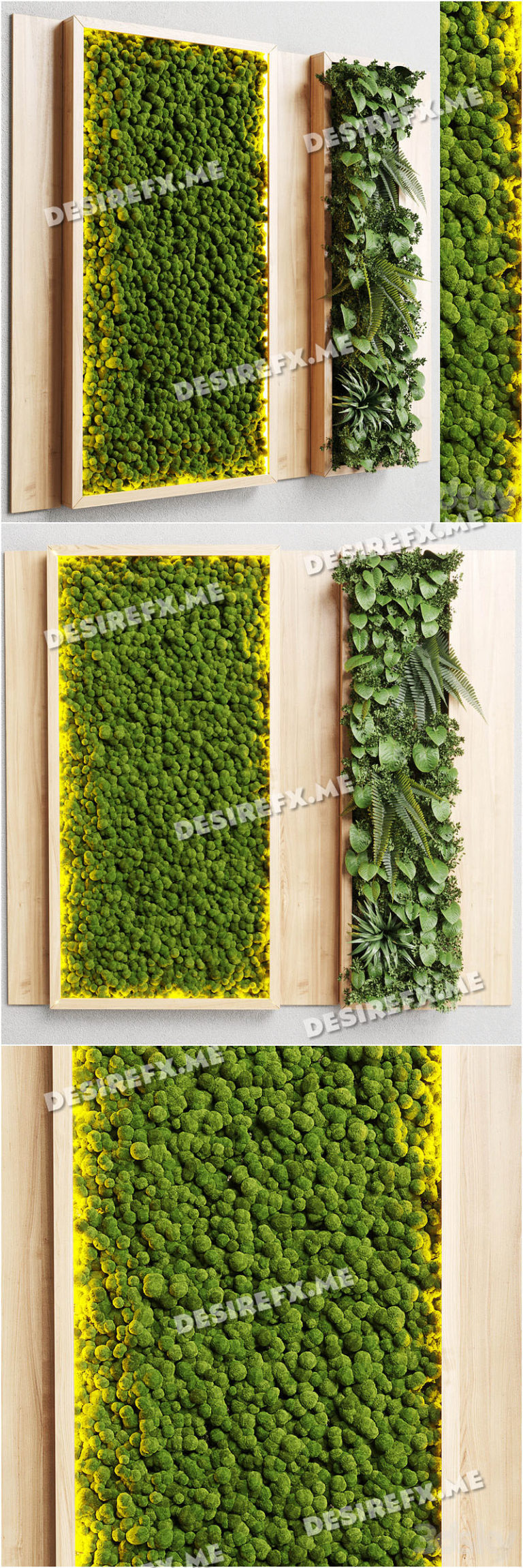 Desire FX 3d models | Wall garden and vertical moss in wooden frame 22 ...