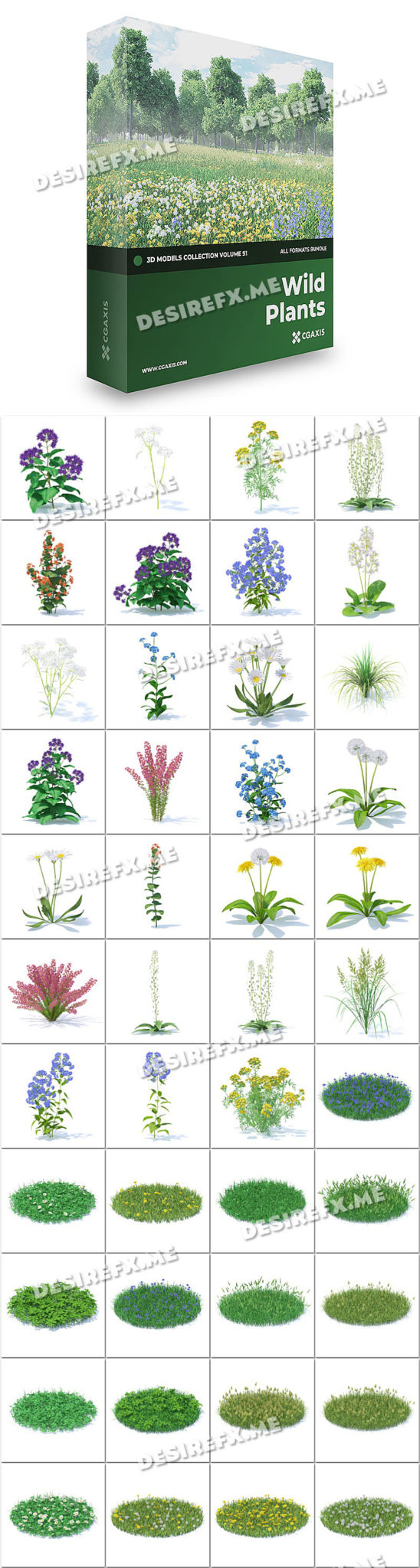 Desire FX 3d models | Wild Plants 3D Models Collection – Volume 91