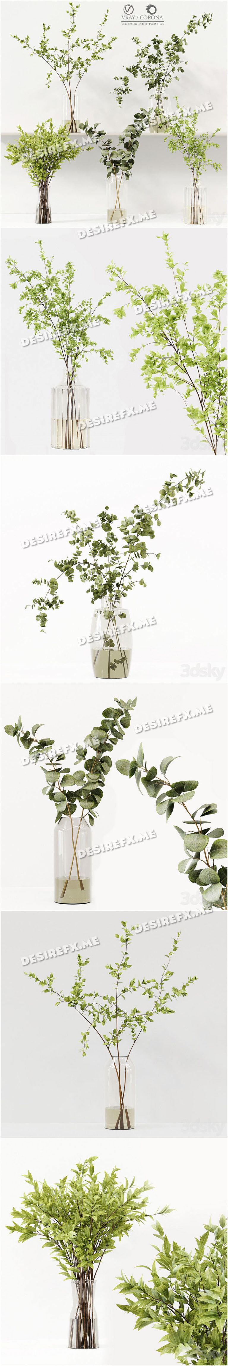 Desire FX 3d models | Collection Indoor Plants 022 – 3D Model