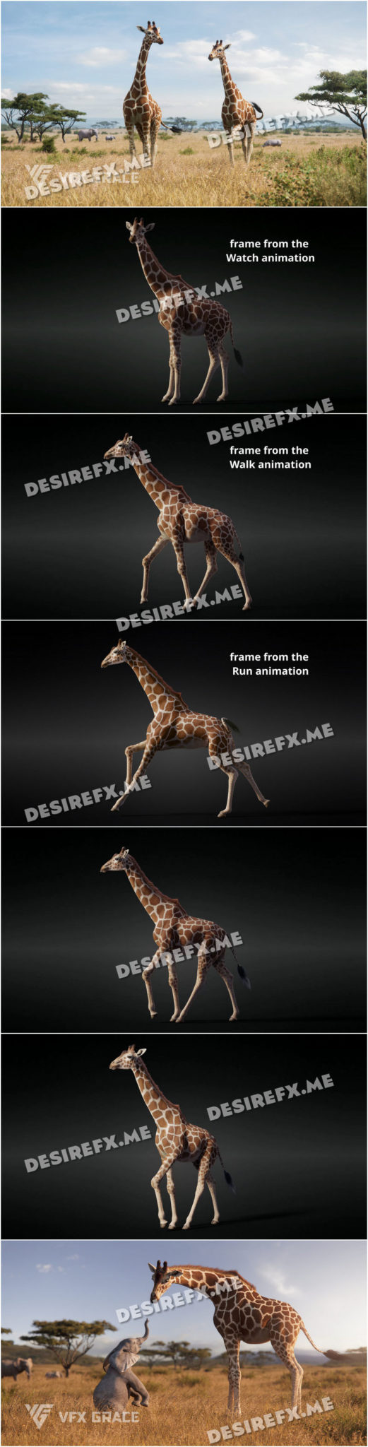 Desire FX 3d models | Giraffe Animated VFX Grace – 3D Model