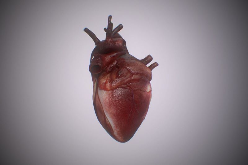 Desire FX 3d models | Heart Realistic Production – Animated Blendshapes ...