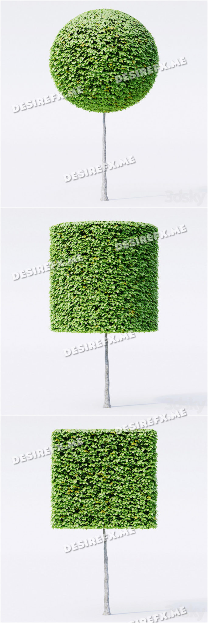 Desire FX 3d models | Geometric Topiary trees – 3D Model