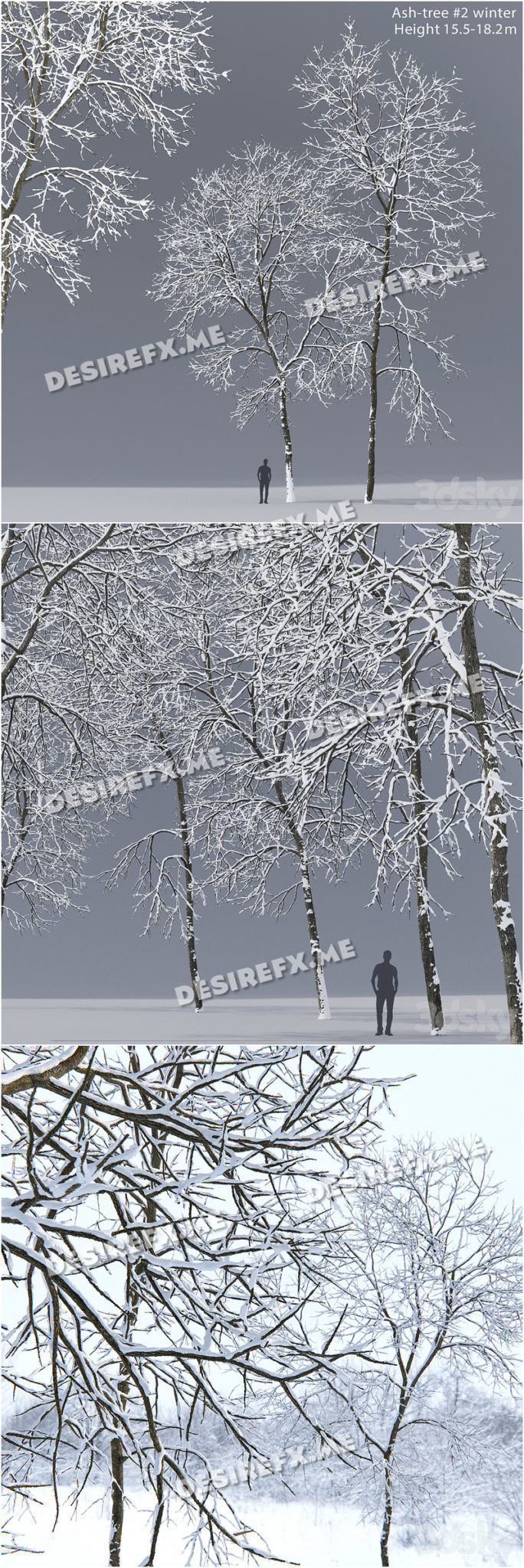Desire FX 3d models | Winter Ash – 3D Model