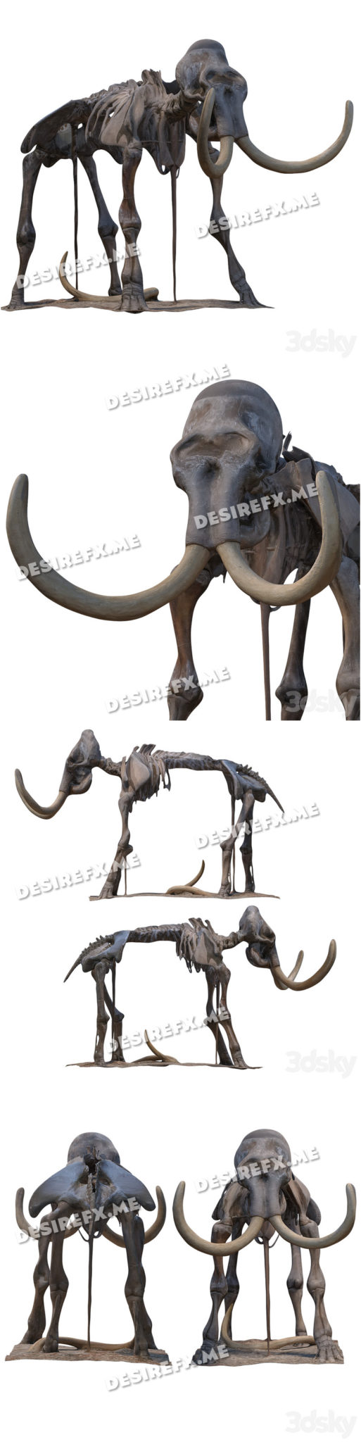 Desire FX 3d models | Mammoth skeleton – 3D Model