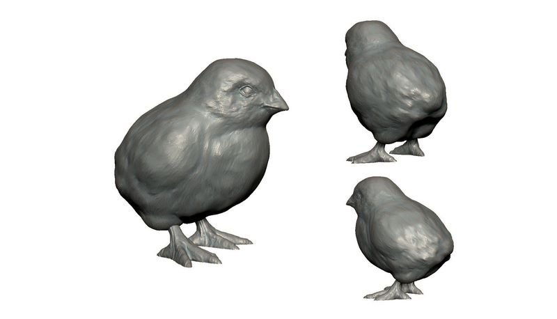 Desire FX 3d models | Chick 3D print model