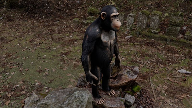 Desire FX 3d models | Chimpanzee Character – Realistic – Rigged ...