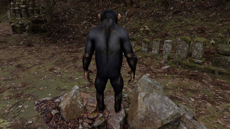 Desire FX 3d models | Chimpanzee Character – Realistic – Rigged ...