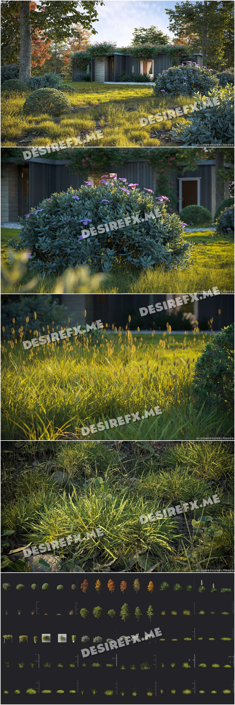 Desire FX 3d models | Maxtree – Plant Models Vol 60 – 3D Model