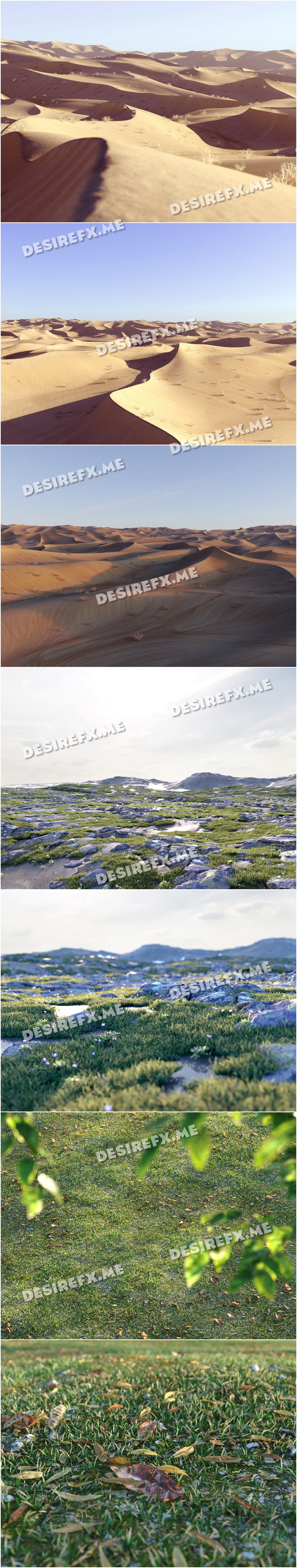 Desire FX 3d models | Nouvelle Mesure Lab 3D Collection – 3D Model