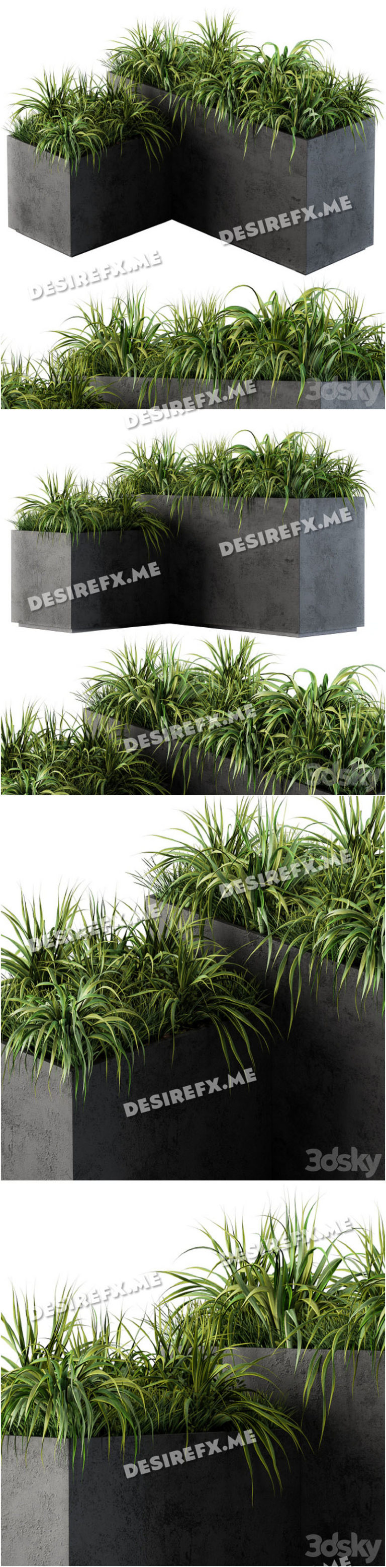 Desire FX 3d models | Outdoor Concrete Plant Box with Cereals and Green ...