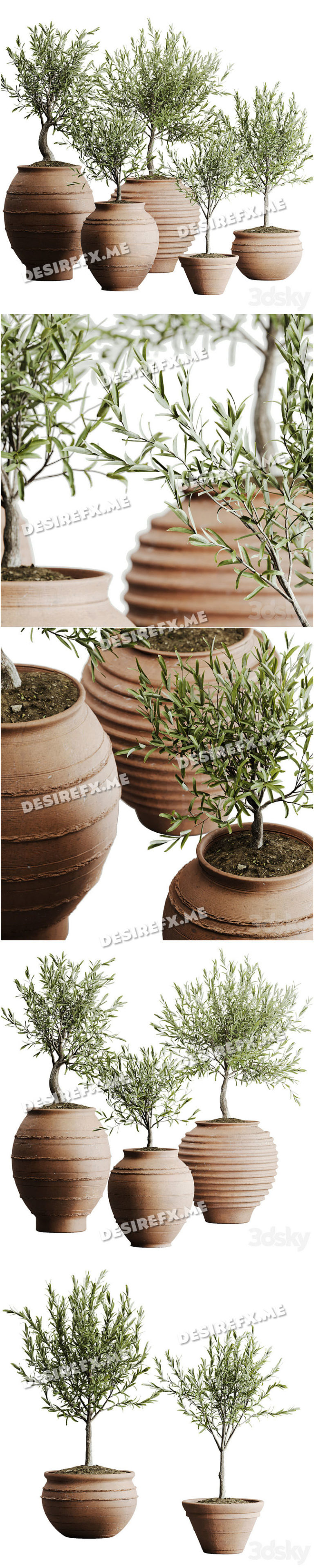 Desire FX 3d models | Outdoor plant set 06 – 3D Model