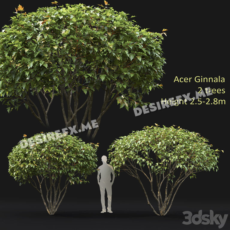 Desire FX 3d models | Acer – 3D Model