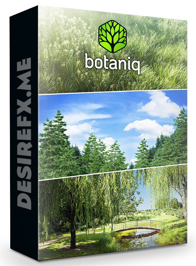 Desire FX 3d models | Reak – 3D Model