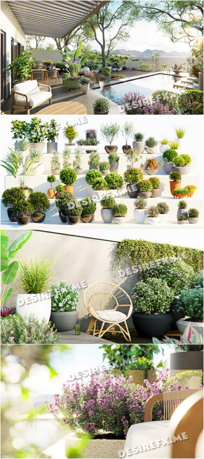 Desire FX 3d models | Globe Plants Bundle 01 Ornamental and Decorative ...