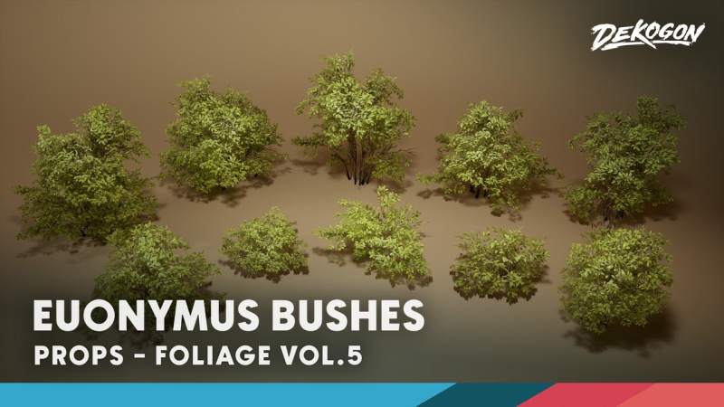 Desire FX 3d models | Foliage VOL.5 – Euonymus Bushes (Nanite and Low Poly) v5.1 – Unreal Engine